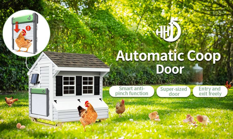 News - What is a coop door?
