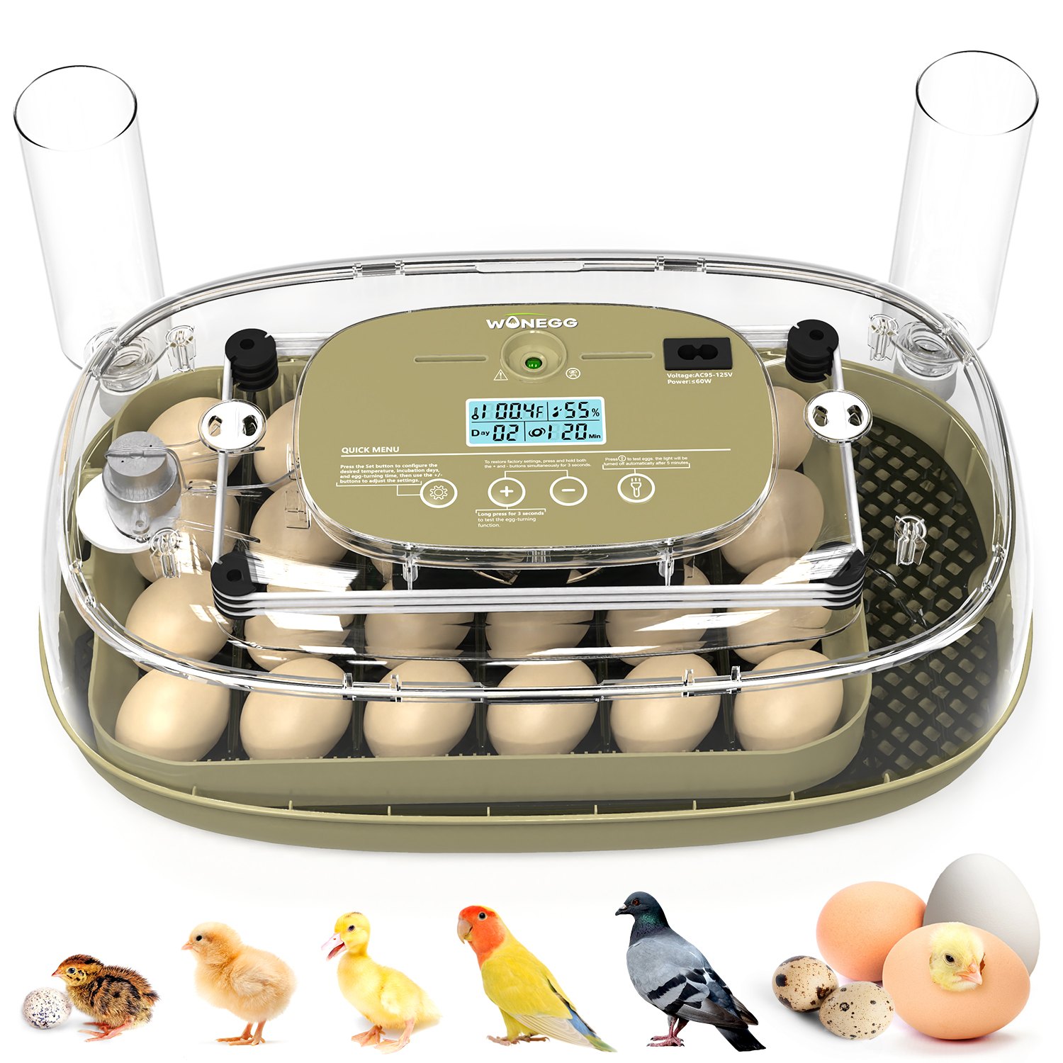 China Incubators for Hatching 24-50 Eggs with Humidity Indication ...