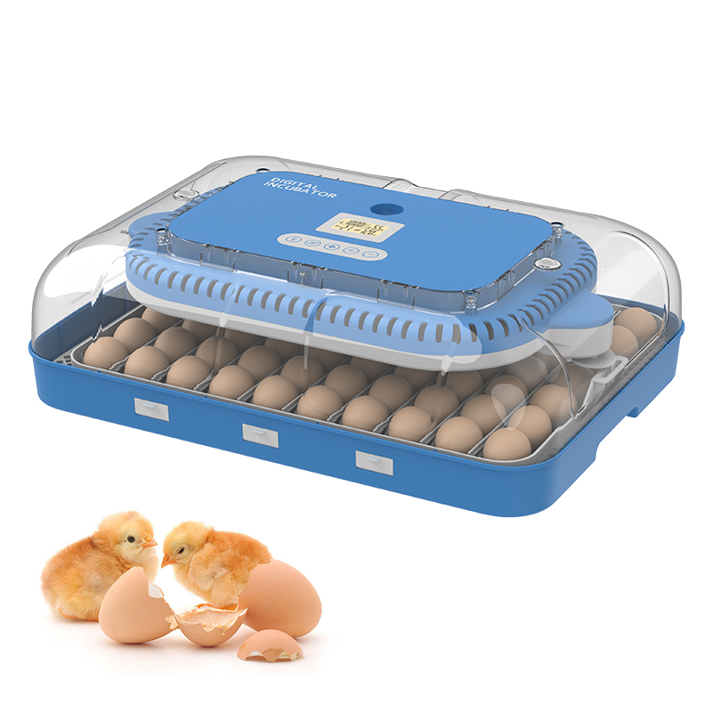 China Fully Automatic Egg Candler Mini Egg Incubator Hatching Machine for 70 eggs manufacturers ...