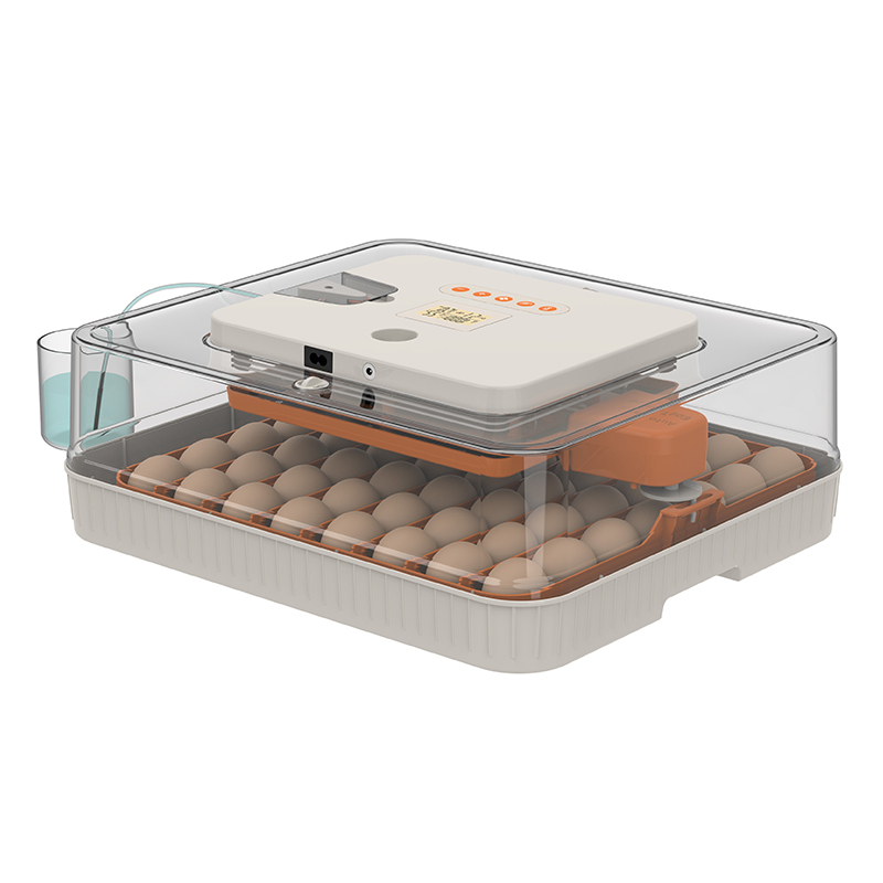China High Hatching Rate 56H Chicken Egg Incubators manufacturers and ...